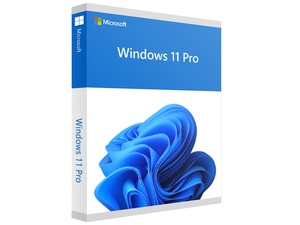 Microsoft Windows 11 Pro - 64-bit USB (Full Package Product ...